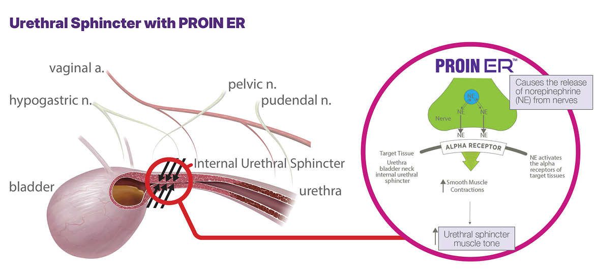PROIN ER™ Product Details | Dosing, Safety & Benefits